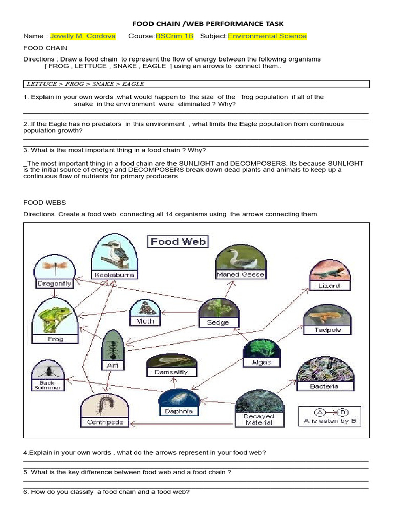 Gorongosa Food Chain and Web Analysis | PDF | Food Web | Foods