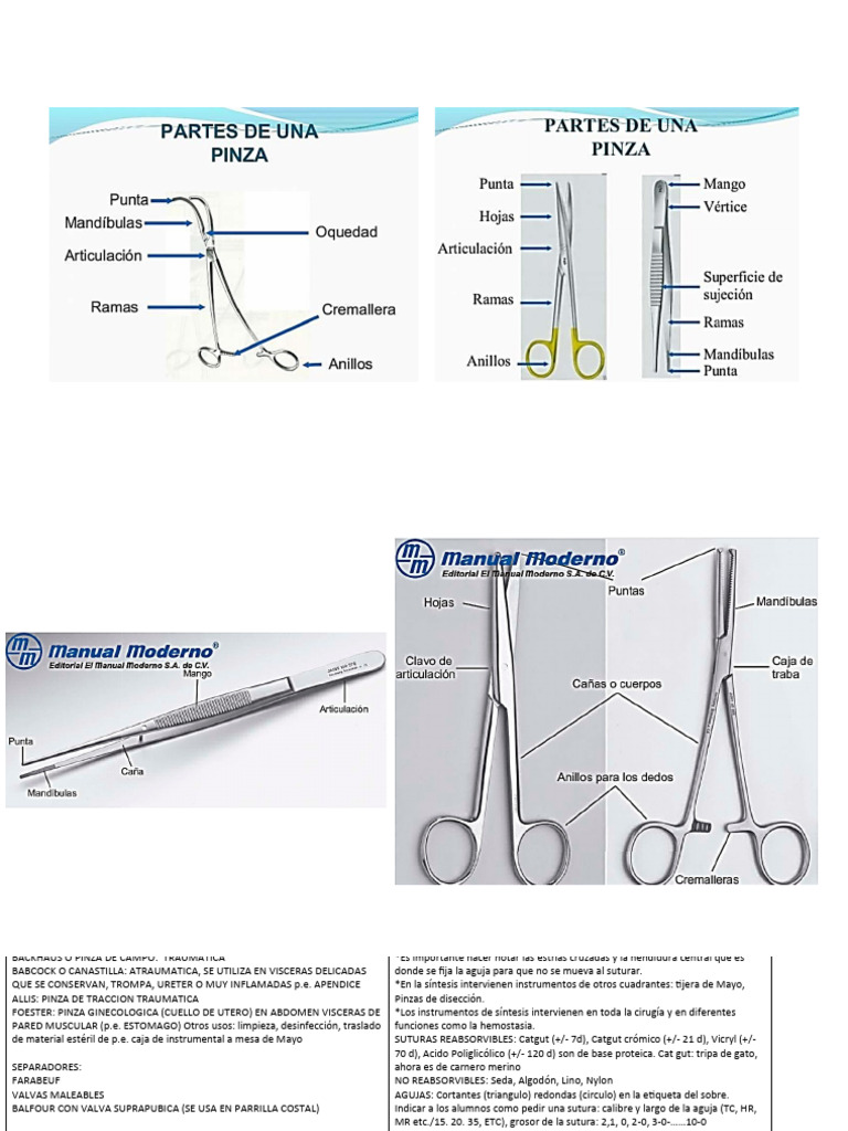 Partes de Una Pinza | PDF | Hogar, jardinería y bricolaje