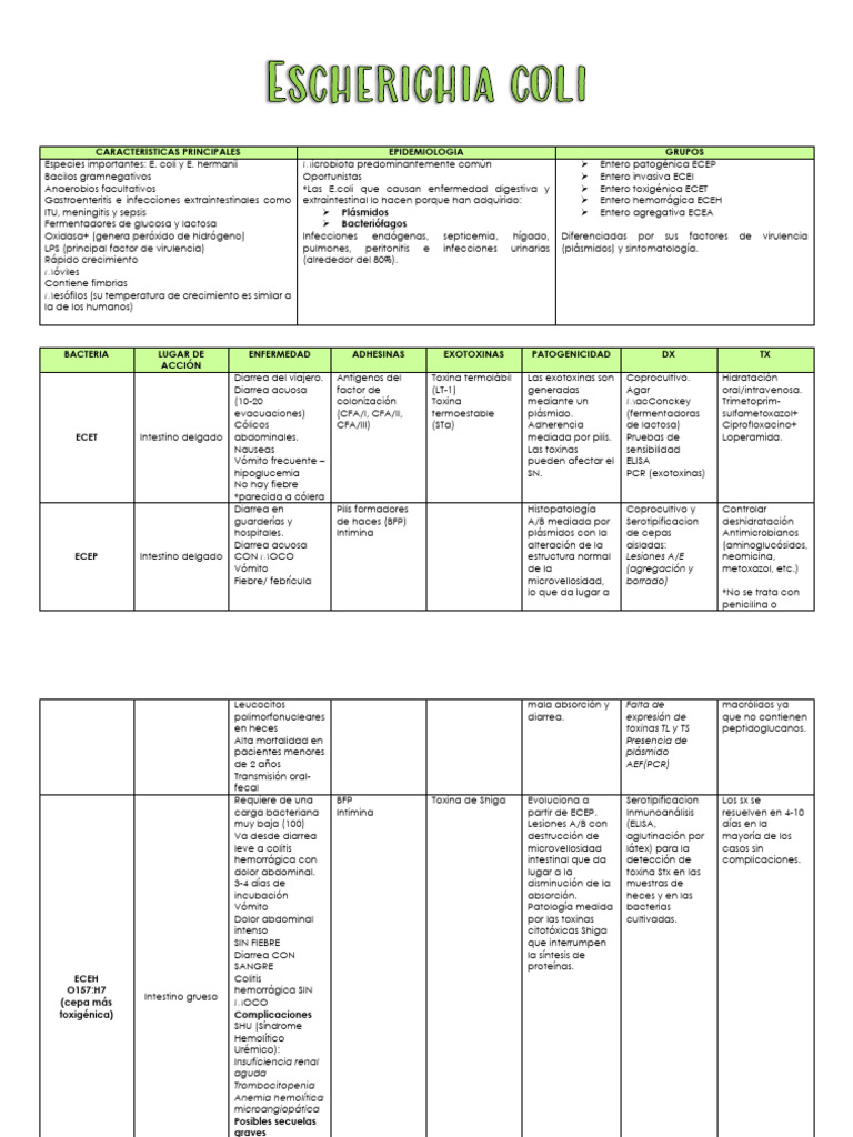Tabla E. Coli | Descargar gratis PDF | Escherichia coli | Inmunología