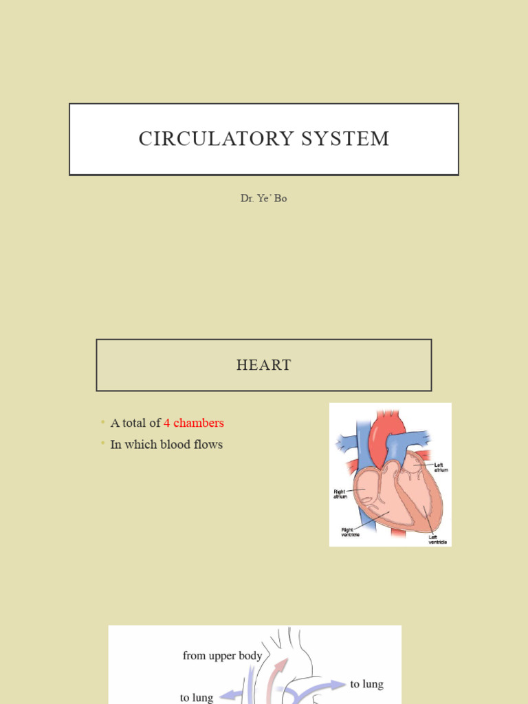 Unit 9.3 Circulatory System | PDF
