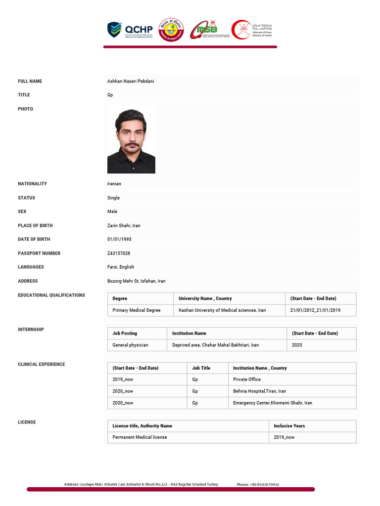 Resume - Ashkan Naseri Pebdani - 2 | PDF