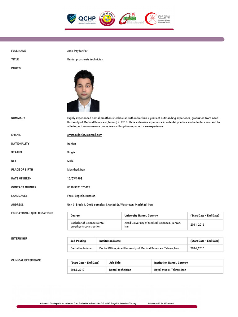 Resume - Amir Paydar Far | PDF