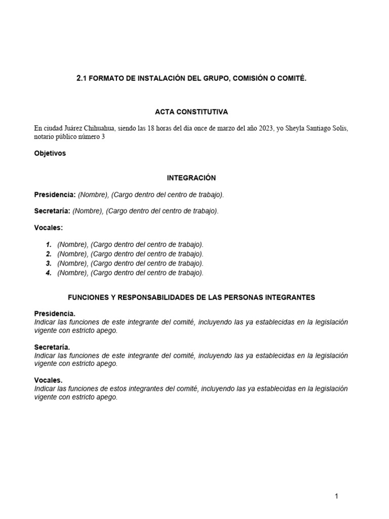 2.1 Formato de Acta de Instalaci N Del Grupo Comisi N o Comit | PDF