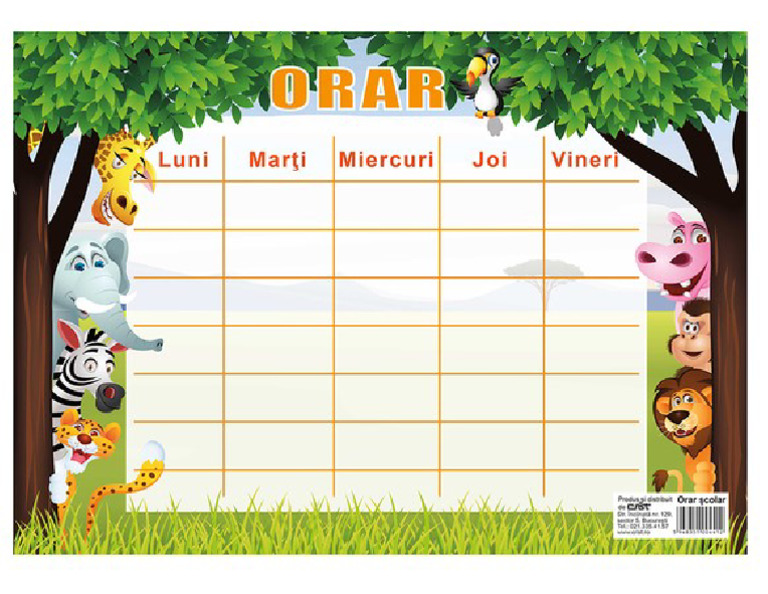 Orar Scolar | PDF