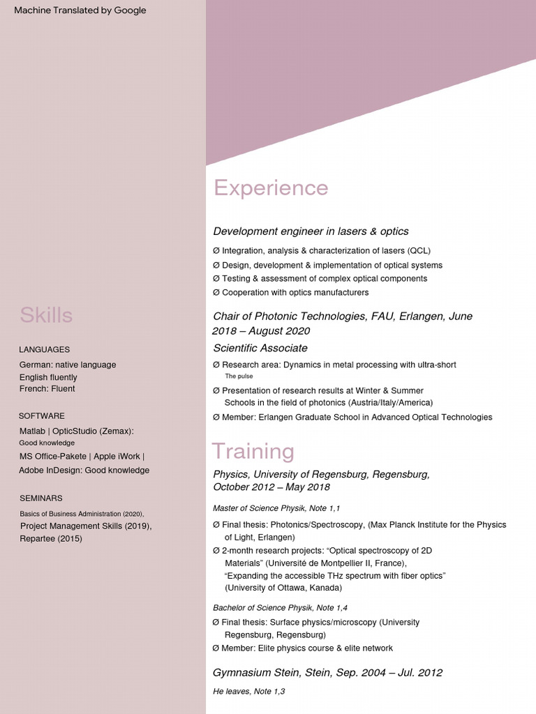 Sample CV - English Translated | PDF