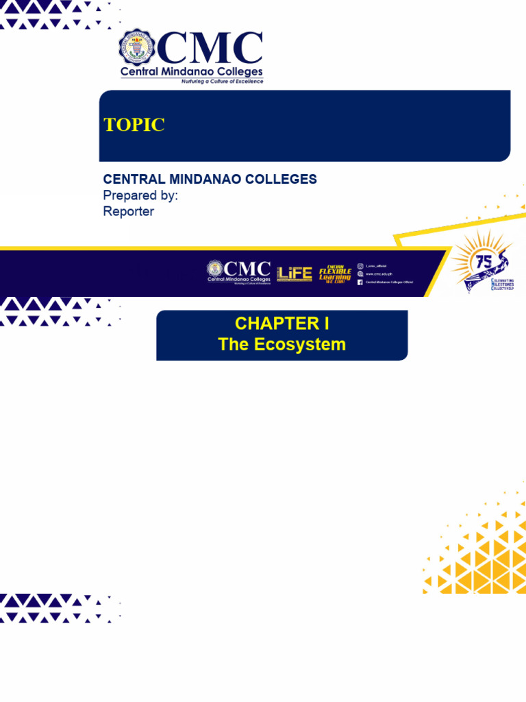 CMC PPT Template | PDF