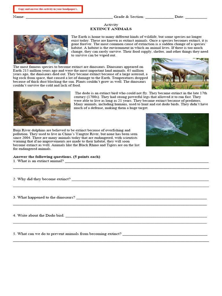 Extinct Animals - Activity | PDF | Extinction | Endangered Species