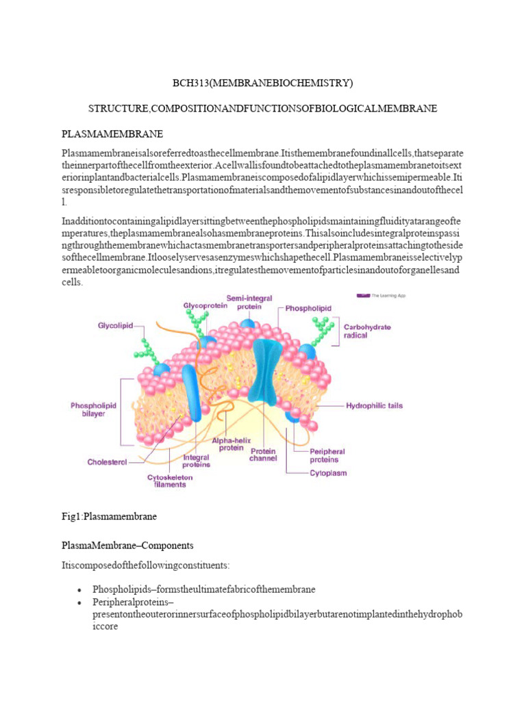BCH 313 Membrane BCH Note | PDF