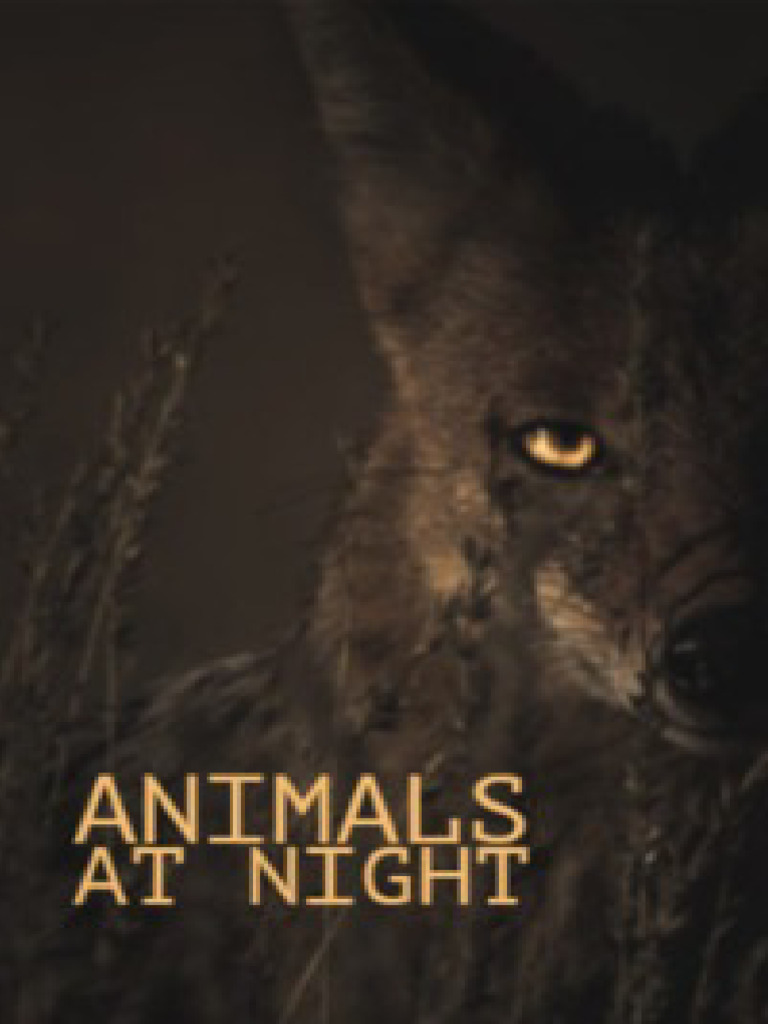 Animals at Night | PDF