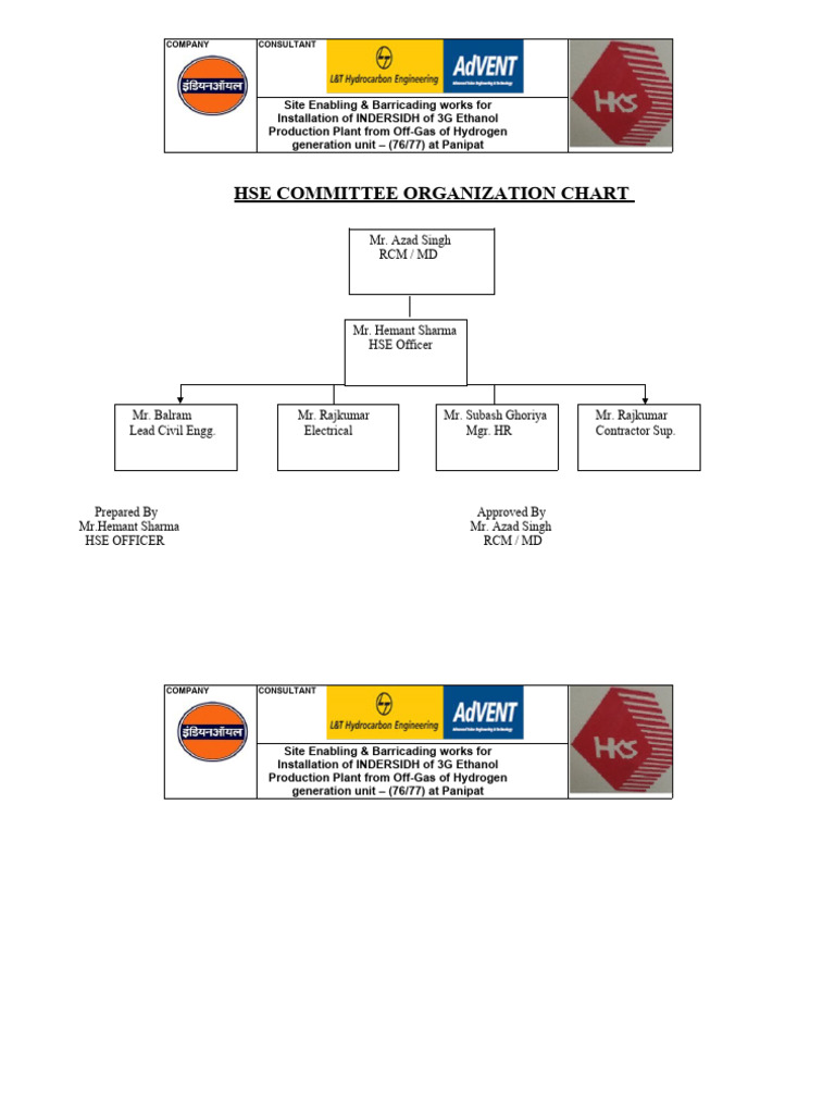 Hse Organisazation Chart | PDF