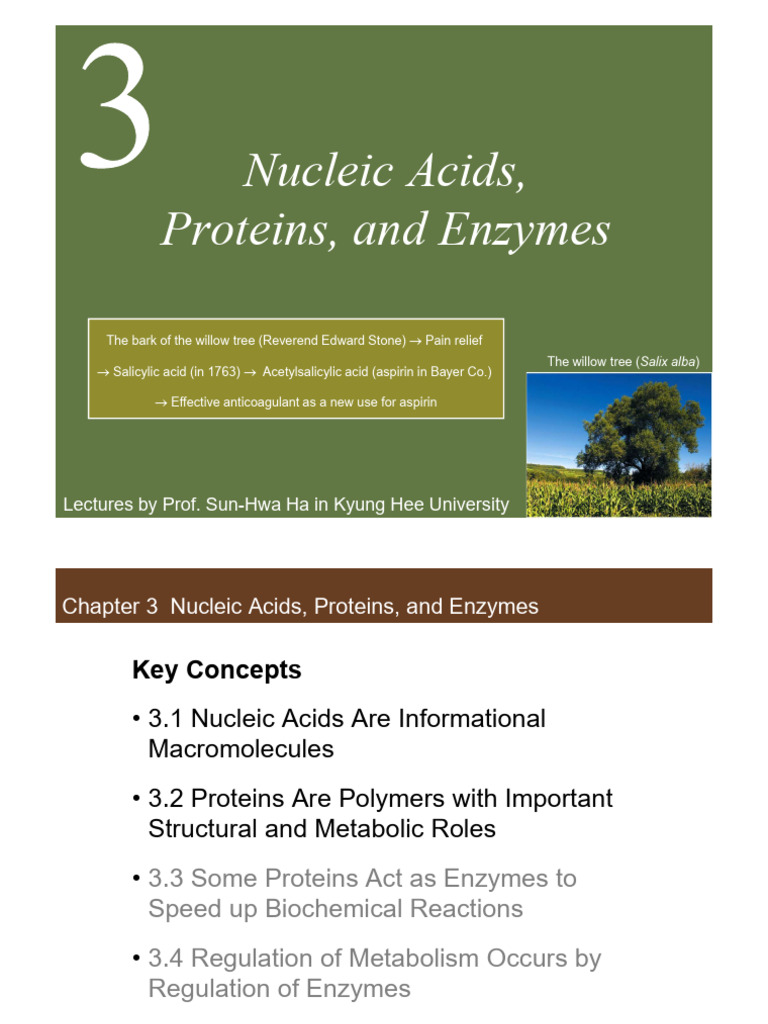 20-2 - Biology - Lecture 7 - Ch03-Nucleic Acids | PDF