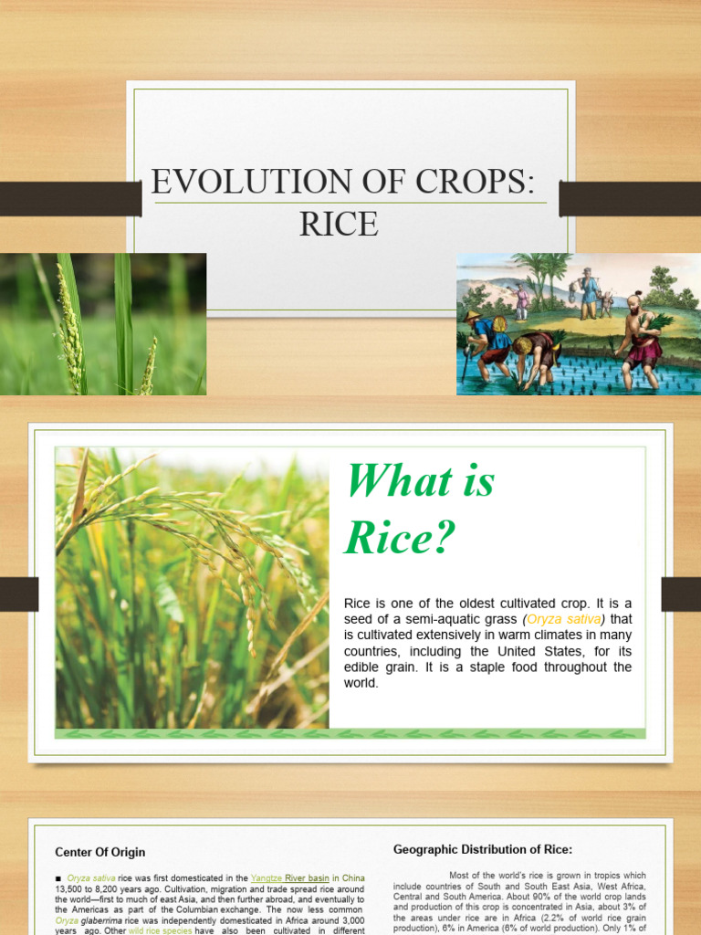 Tagupa Evolution of Crops CropScie 3 | PDF