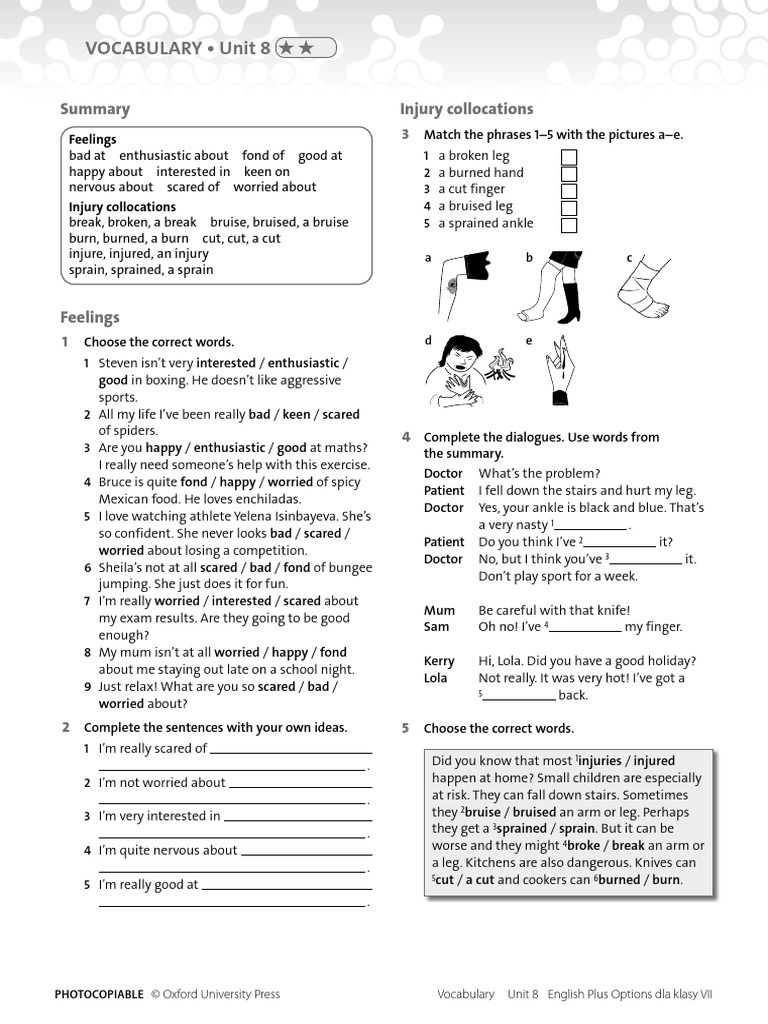 English Plus Options g7 Vocab Two Star Unit 8 | PDF