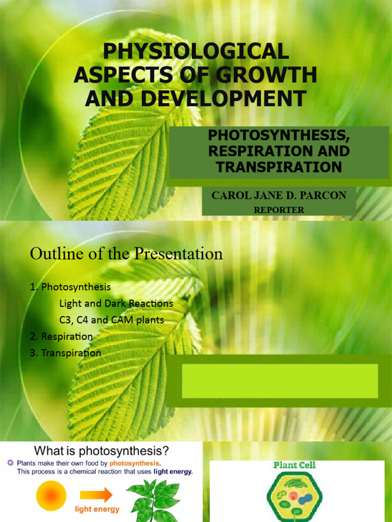 Lecture 1 Pdf