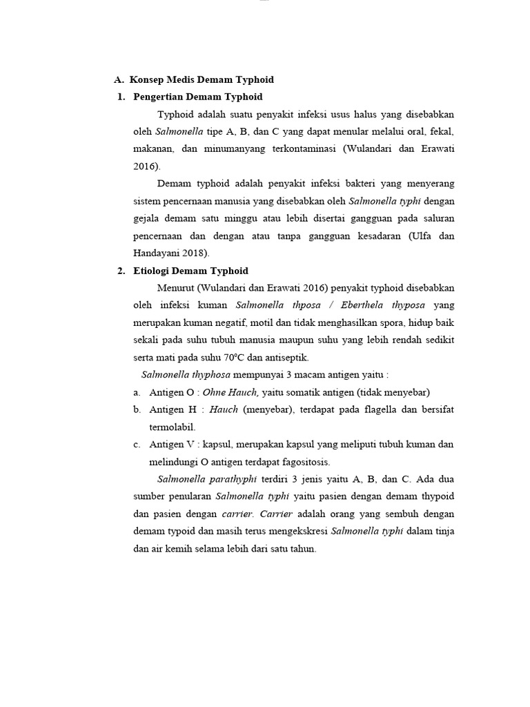 LP Demam Typhoid 1 Laporan Pendahuluan | PDF