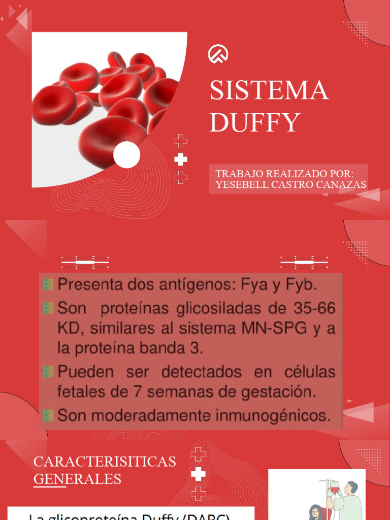 SISTEMA DUFFY - Expo | PDF