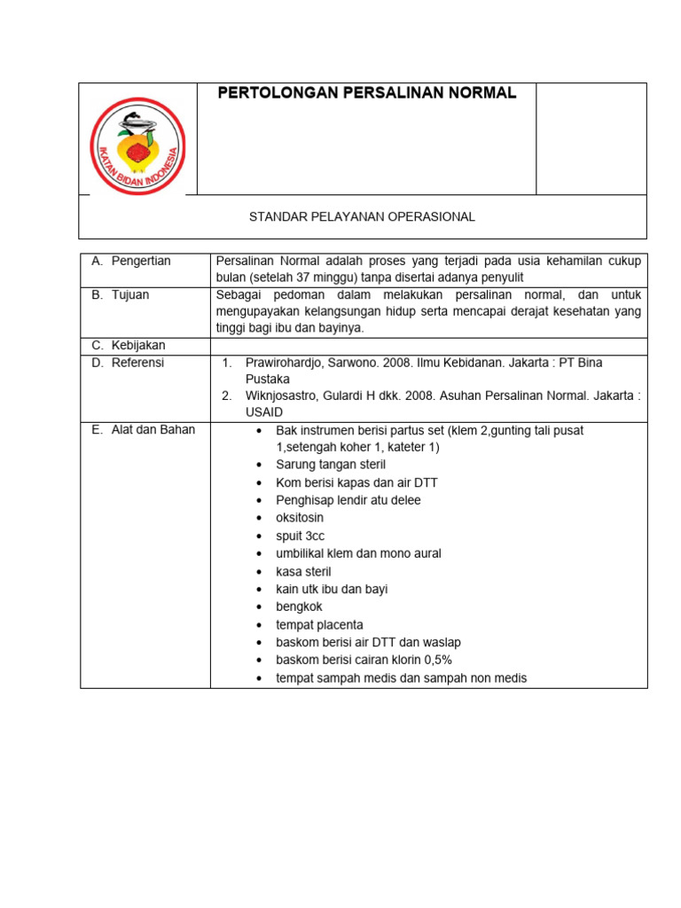 Panduan Persalinan Normal | PDF