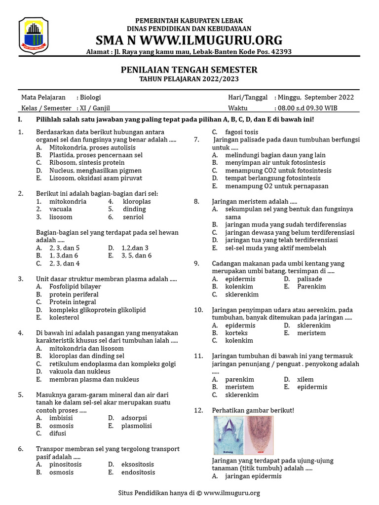 Soal PTS I Biologi XI | PDF