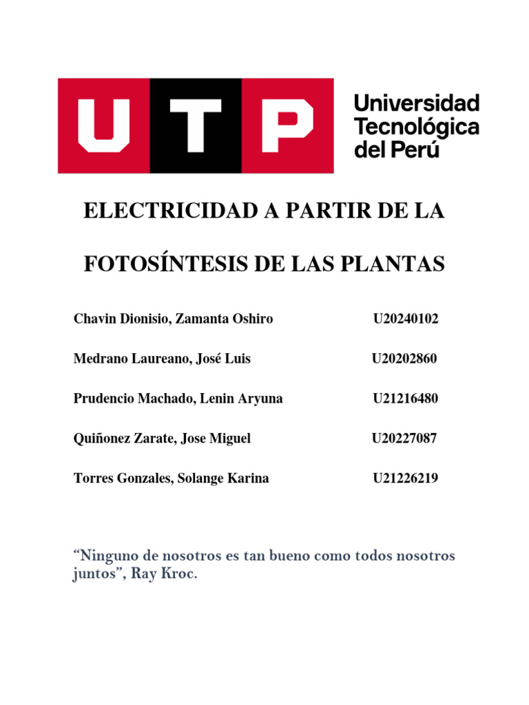 Modelo de Proyecto Final CAF 2 | PDF