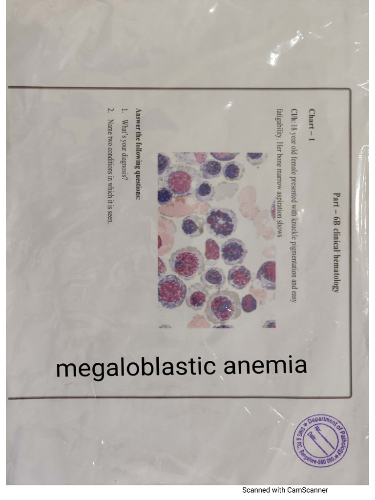 Pathology Charts | PDF