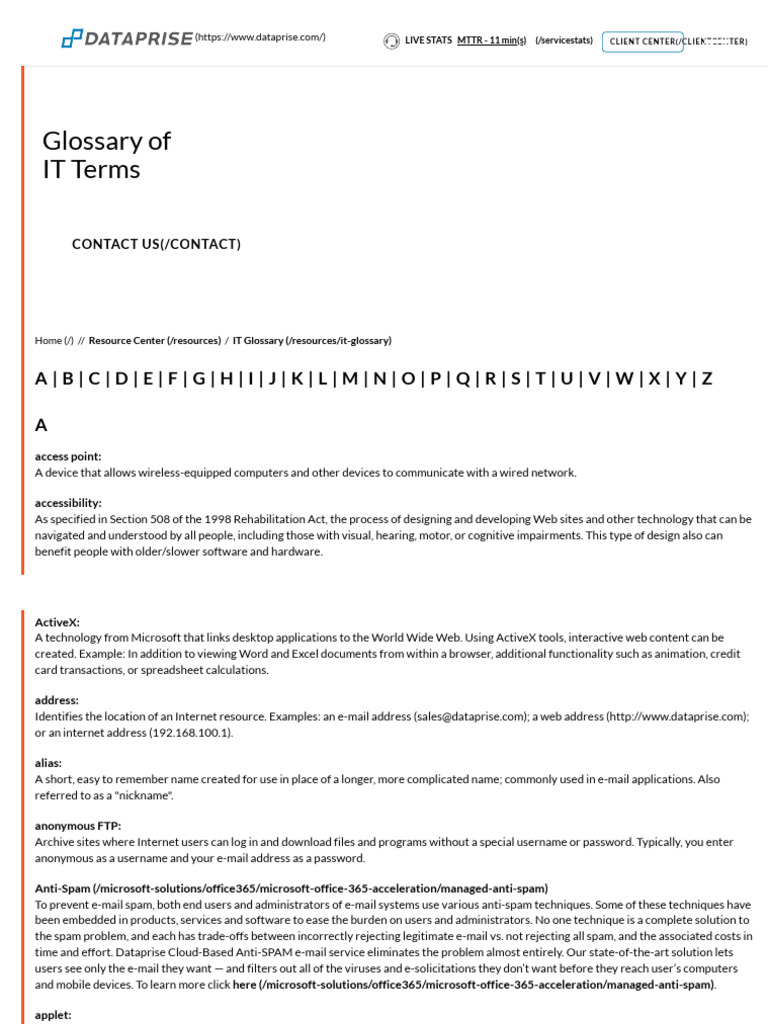 IT Terms Glossary for Professionals | PDF | World Wide Web | Internet & Web