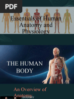 Medical Terminology Chapter 2 Study Guide | PDF