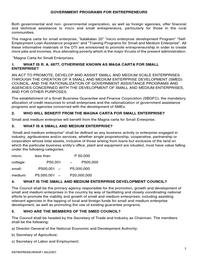 Government Programs For Entrepreneurs | PDF