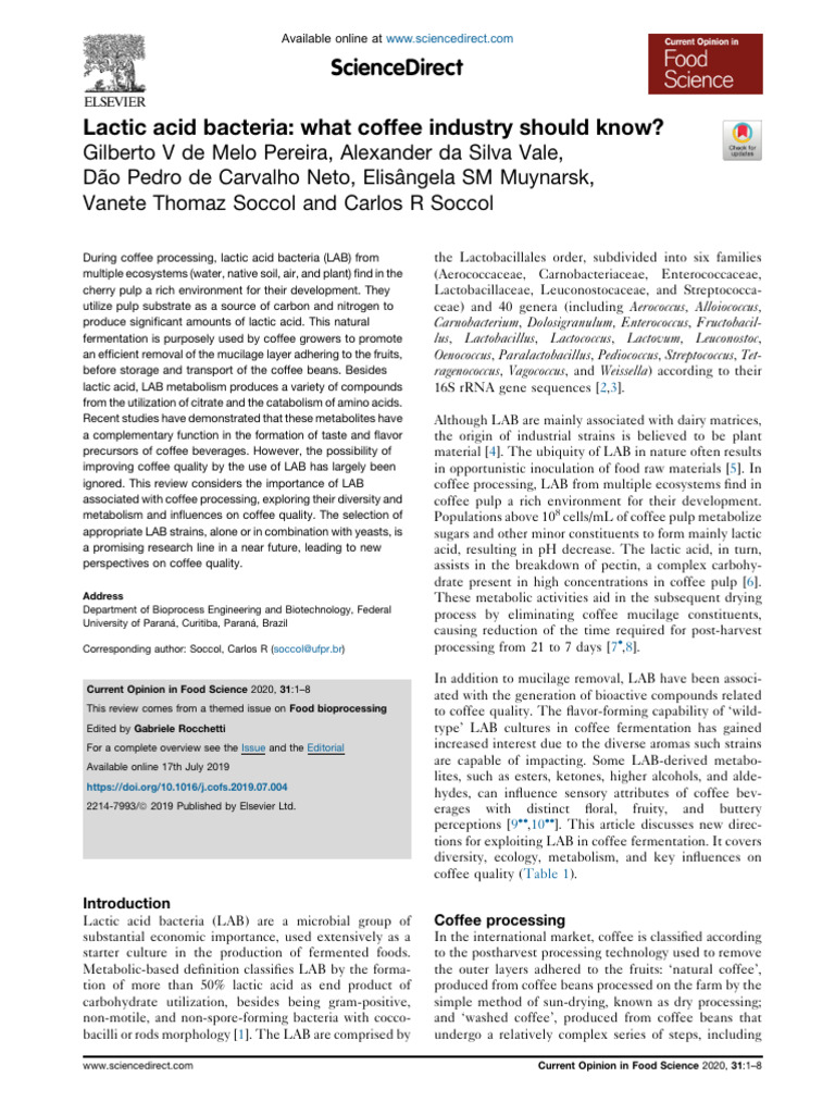 LAB in Coffee Fermentation Insights | PDF | Fermentation | Lactic Acid