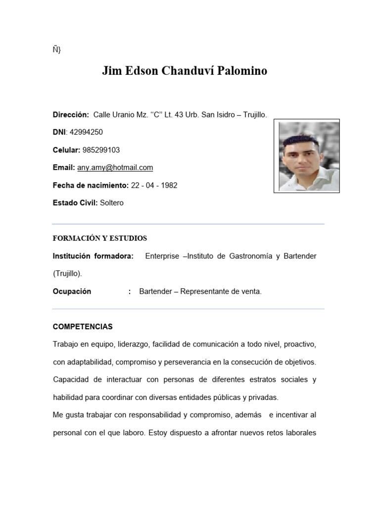 CV - Jim Chanduvi Palomino | PDF