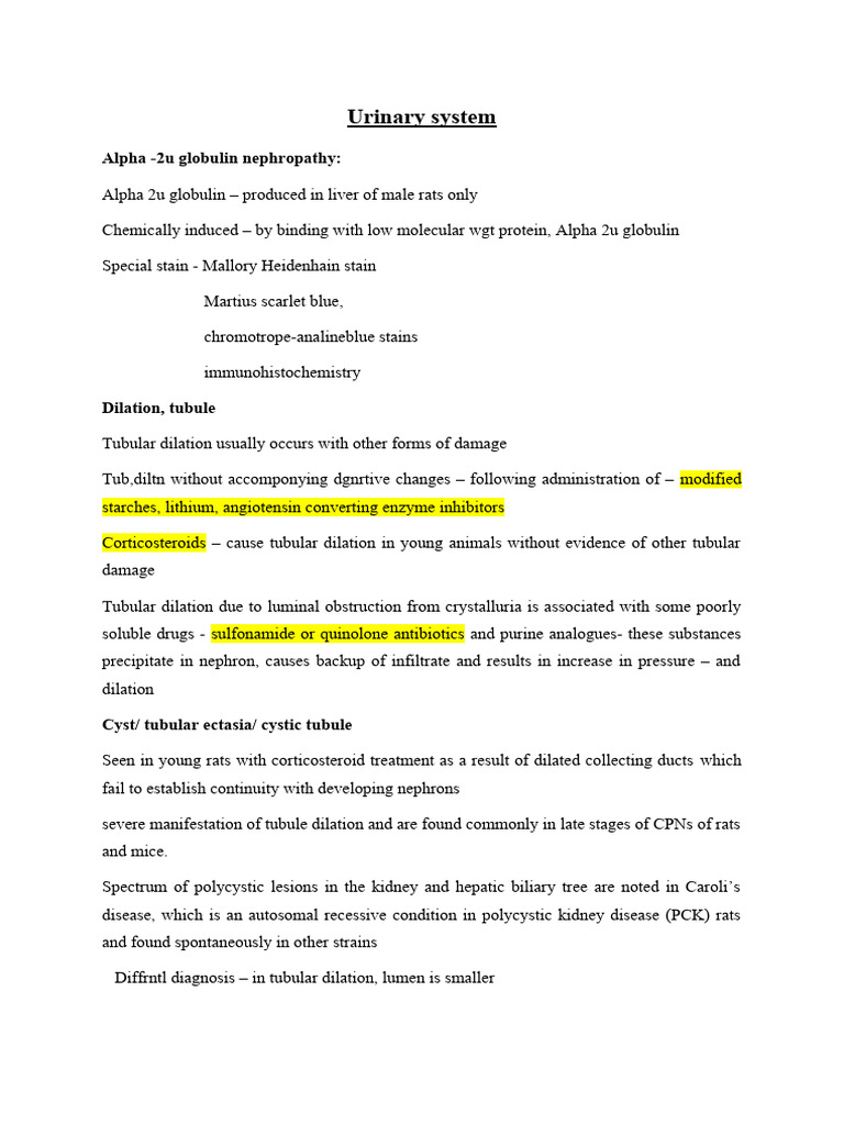Urinary System Notes | PDF | Organ (Anatomy) | Animal Anatomy