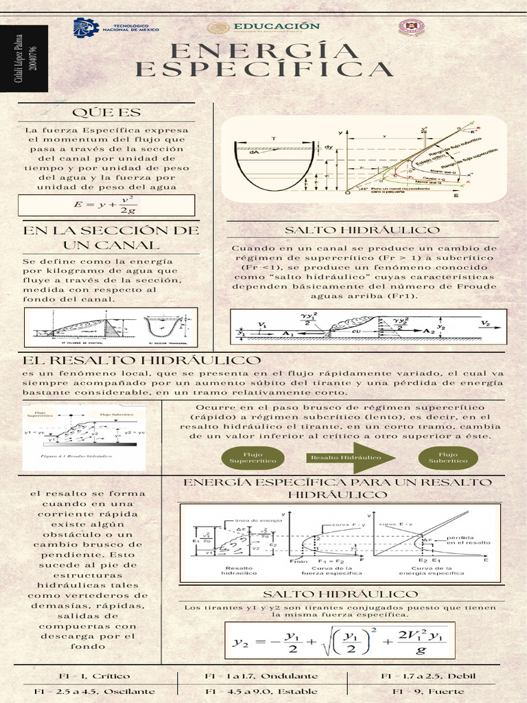 3.1 Infografía Fuerza Específica | PDF | Mecanica clasica | Química