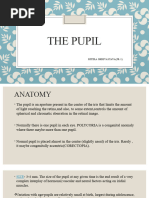 PERRLA Assessment Guide | PDF | Vision | Sensory Organs