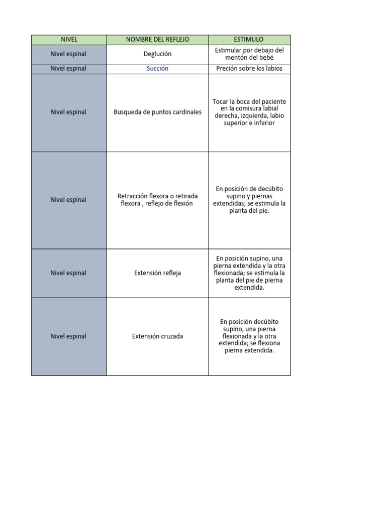 Reflejos Primitivos | PDF | Anatomía | Anatomía humana