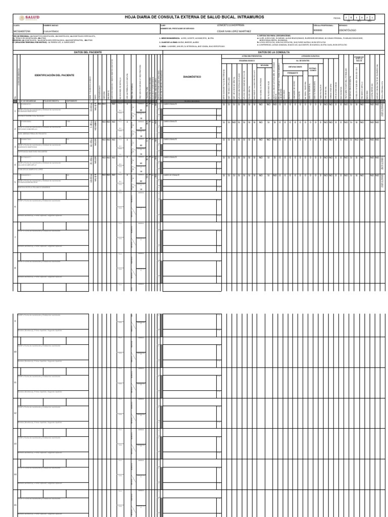 Hoja Diaria de Consulta Externa de Salud Bucal. Intramuros | PDF | Odontología | Enfermedades y ...