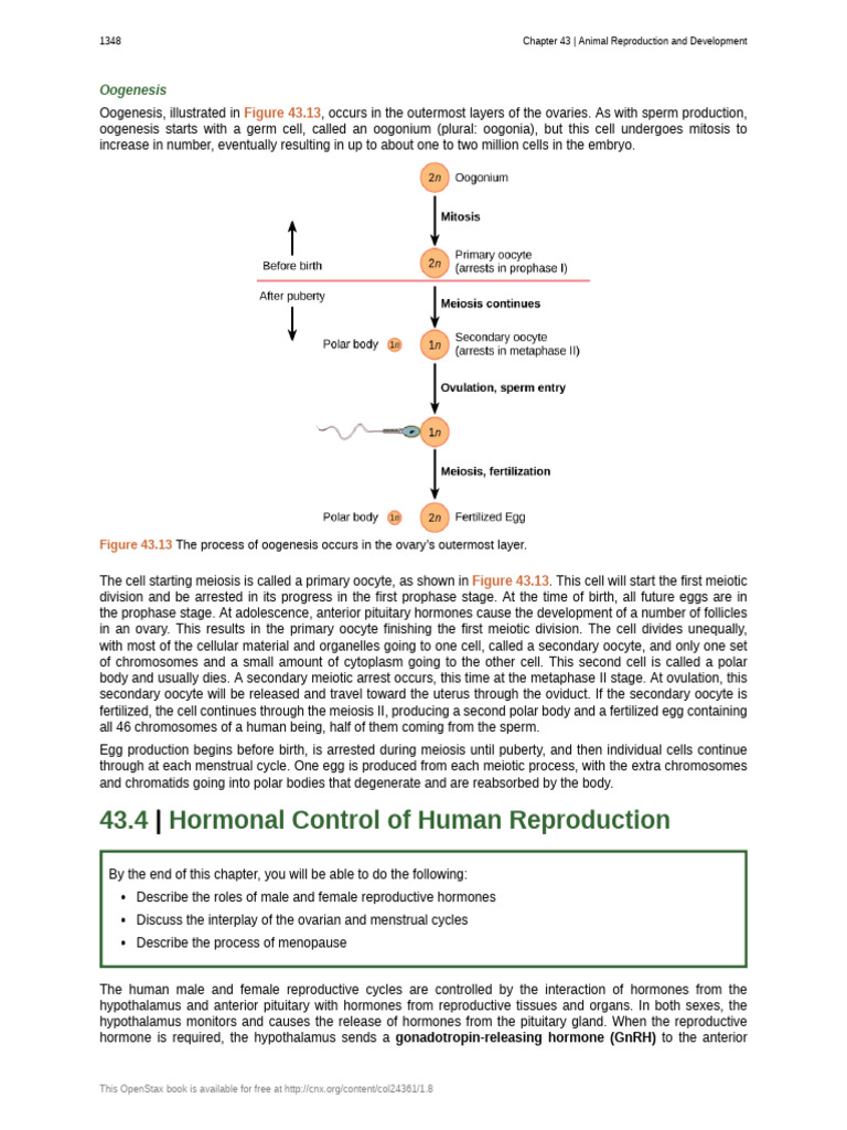43.4 Hormonal Control of Human Reproduction | PDF