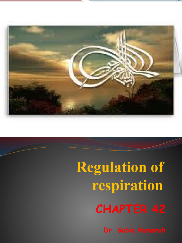 Central Regulation of Respiration | PDF | Anatomy | Brain