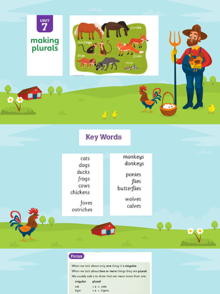 Nelson Spelling Unit 7 | PDF
