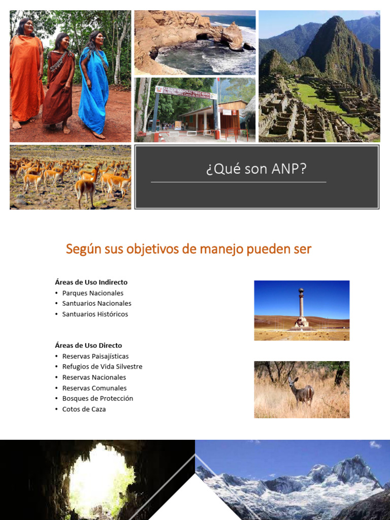 Clasificación ANP | PDF