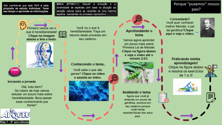 Roteiro de Aprendizagem 7 9degree Ano Ciencias | PDF