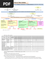R-Hyper-CVAD Protocol Overview | PDF | Chemotherapy | Leukemia