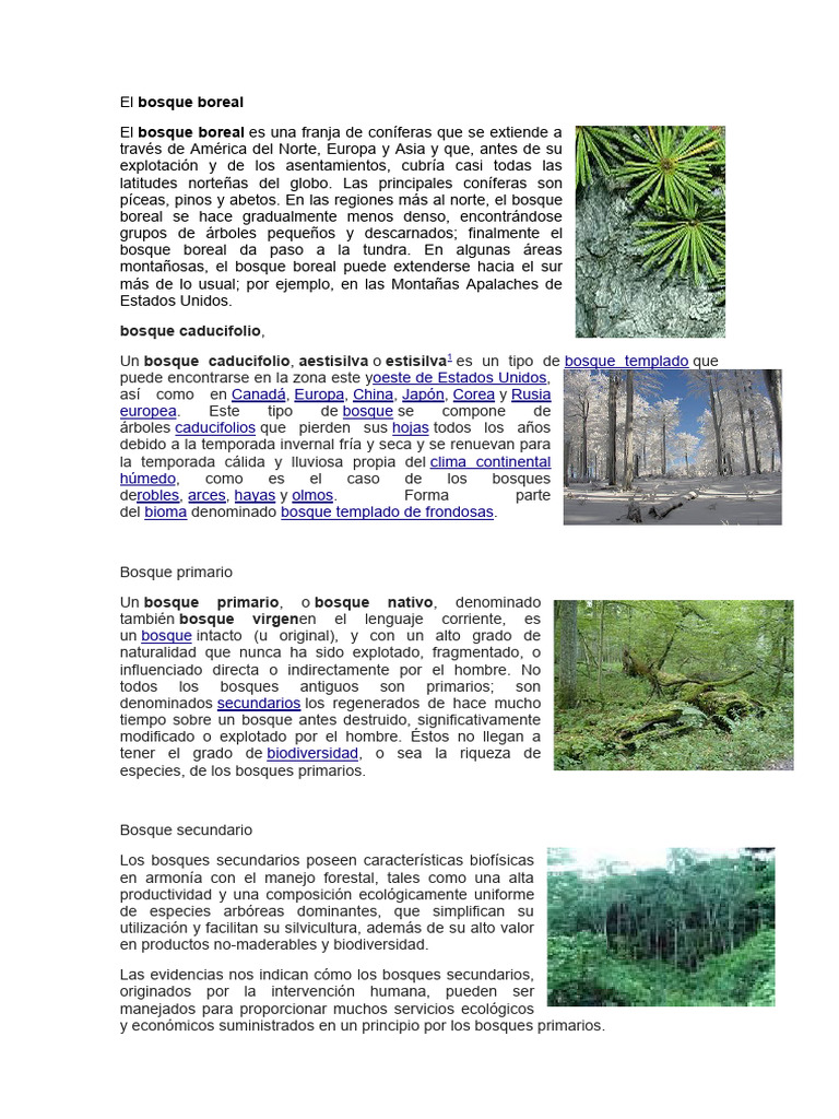Tipos de bosques y sus características | PDF | Los bosques | Zona tropical