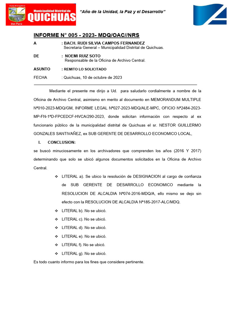 MODELO DE INFORME | PDF