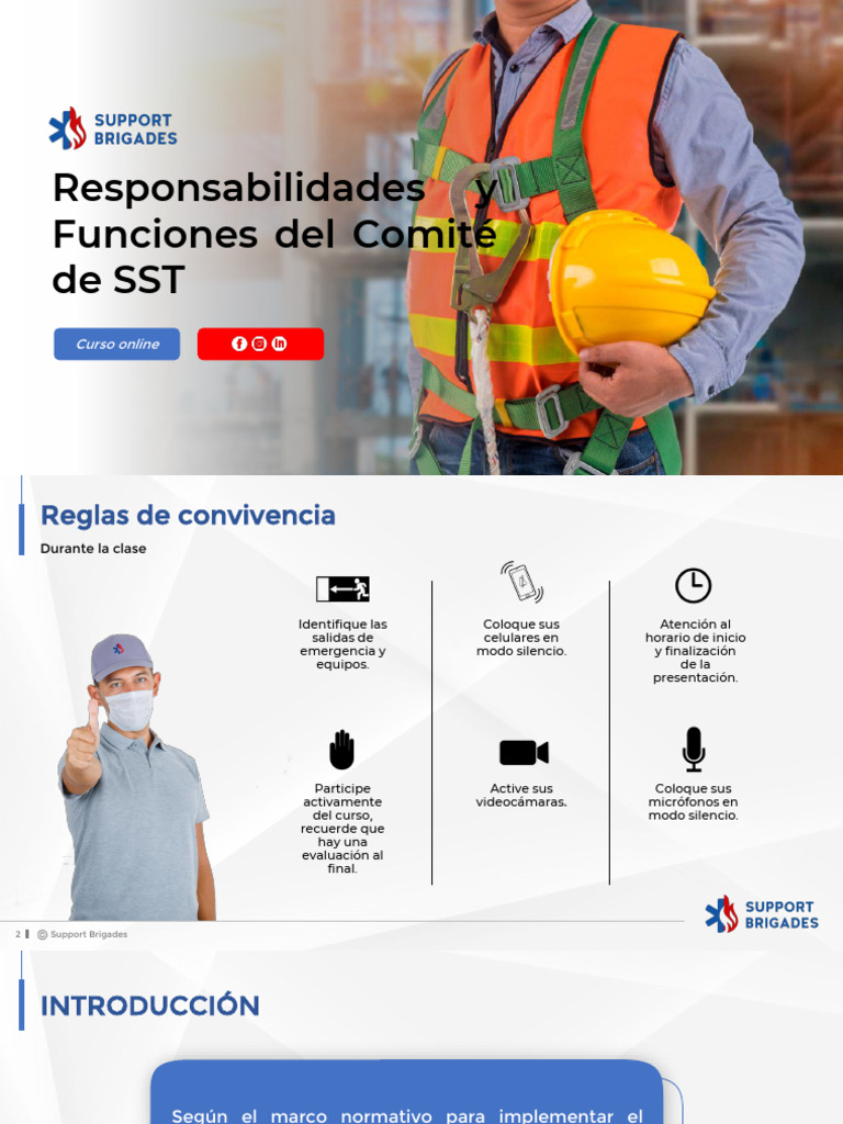 Funciones y Responsabilidades Comite SST | PDF | Gobierno
