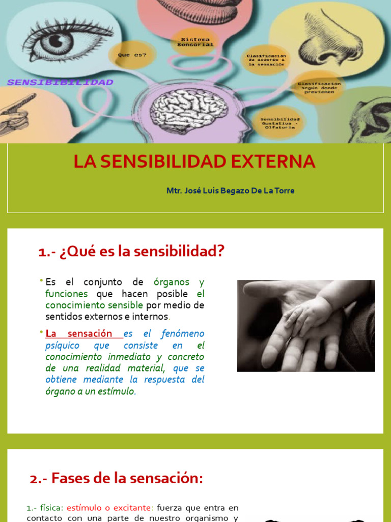 Sensibilidad y Conocimiento Humano | PDF