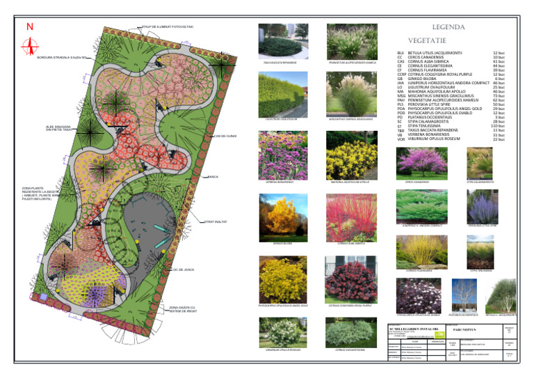 Amenajare Parc Strada Neptun | PDF