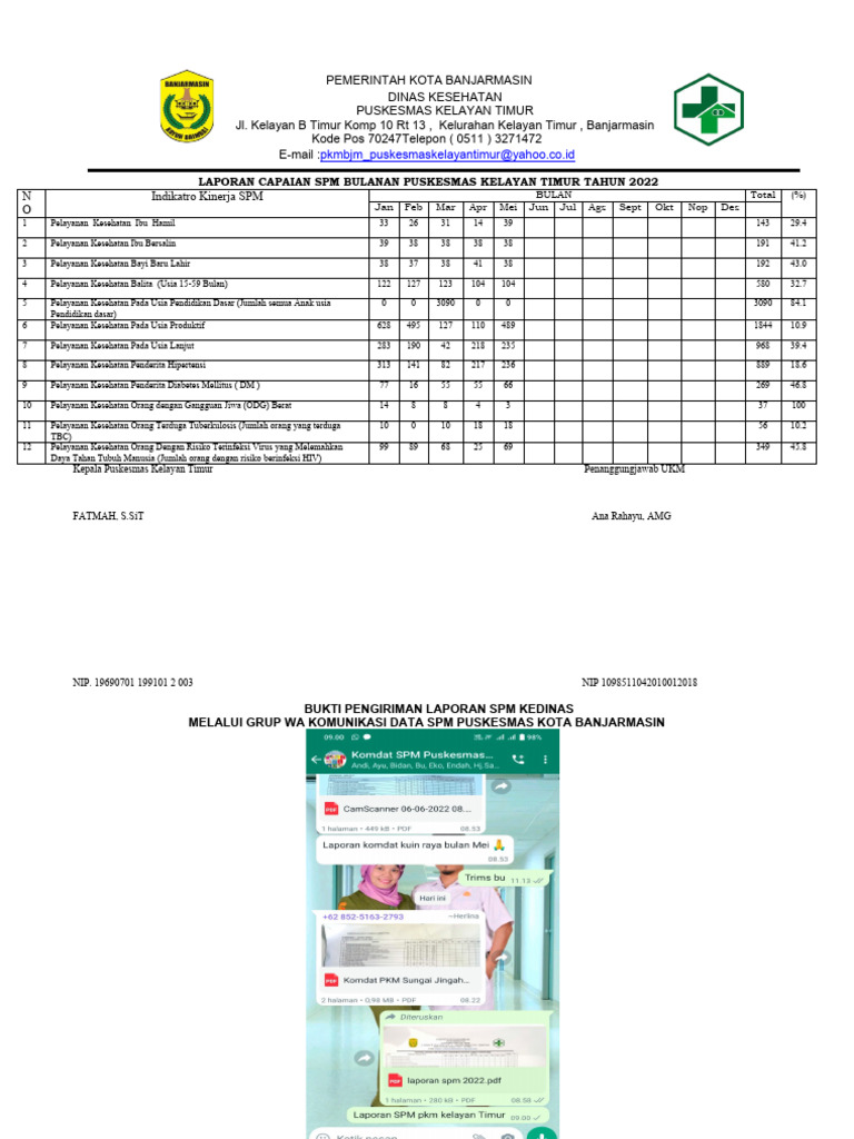 2.8.3.5 Contoh Laporan SPM Ke Dinkes | PDF