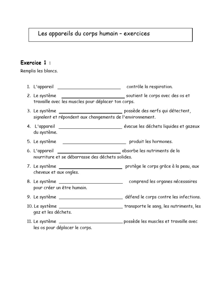 6 Le Corps Humain - Exercices | PDF