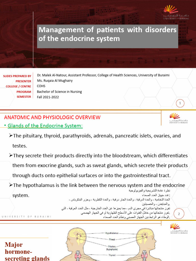 NURS 236 Management of Patients With Disorders of The Endocrine System ...