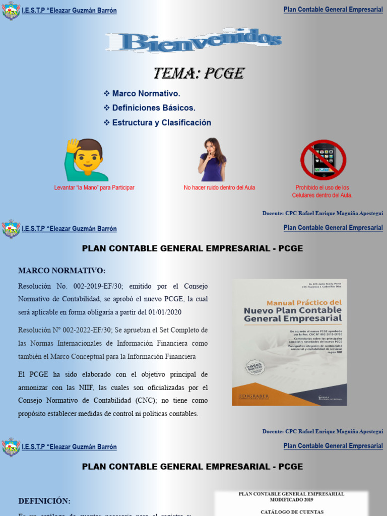 Sesión N° 2 - El PCGE | PDF | Contabilidad | normas internacionales de ...