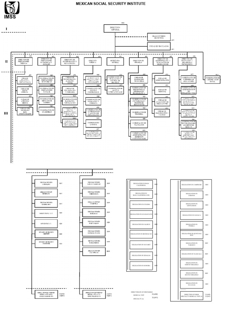 Imss Organizational Chart | PDF